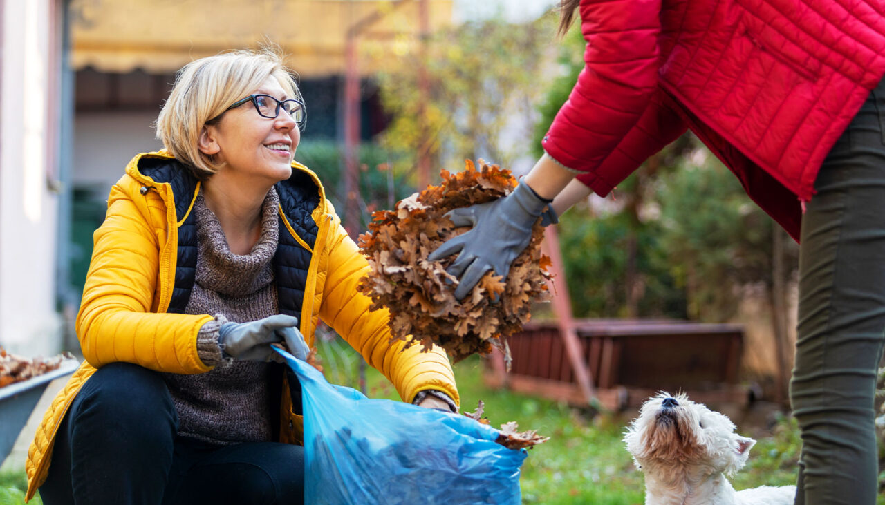 6 commonly asked questions about weight loss - Mayo Clinic Press