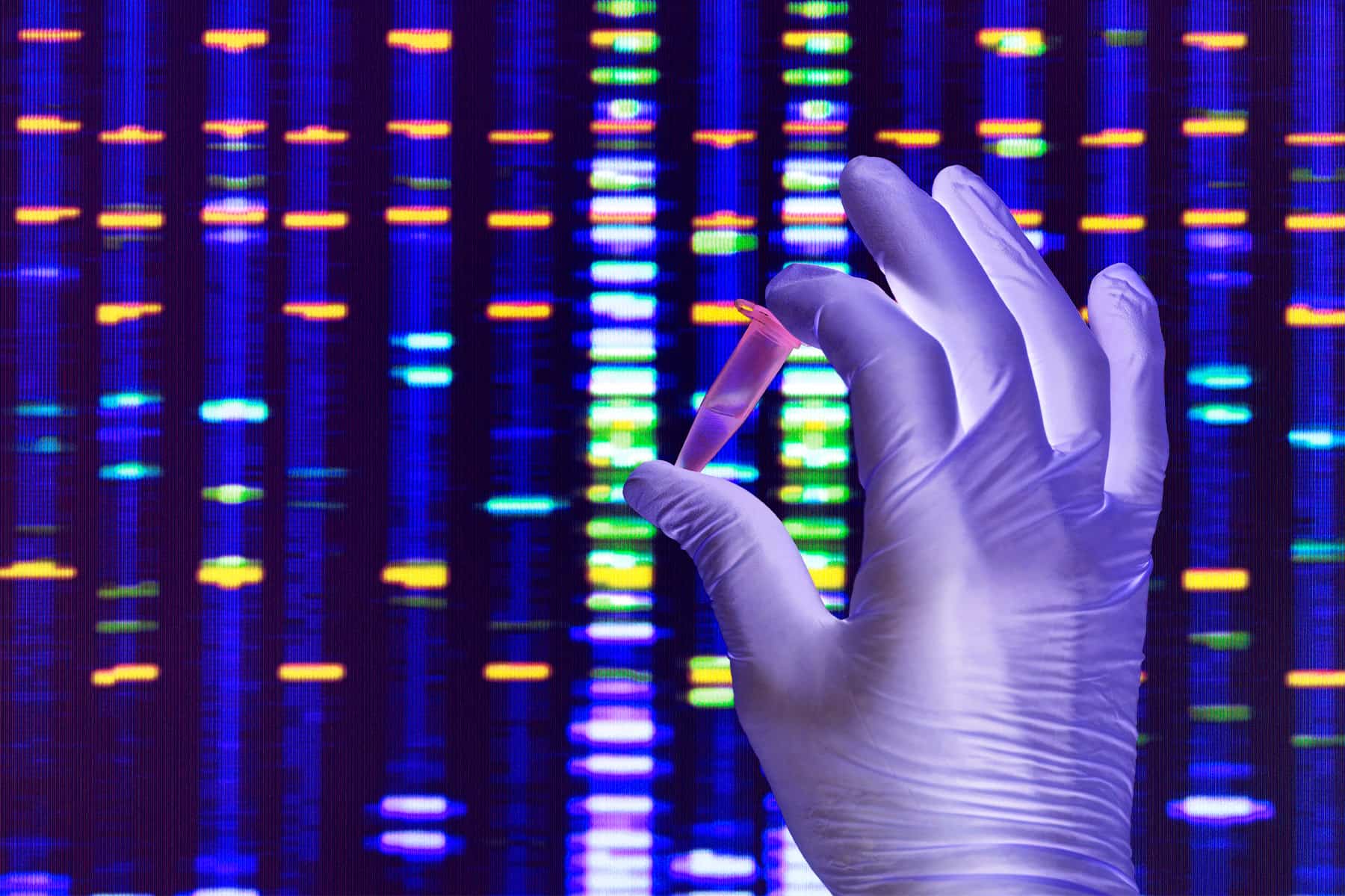 Author Fred Appelbaum, M.D., talks about his new book and the ...